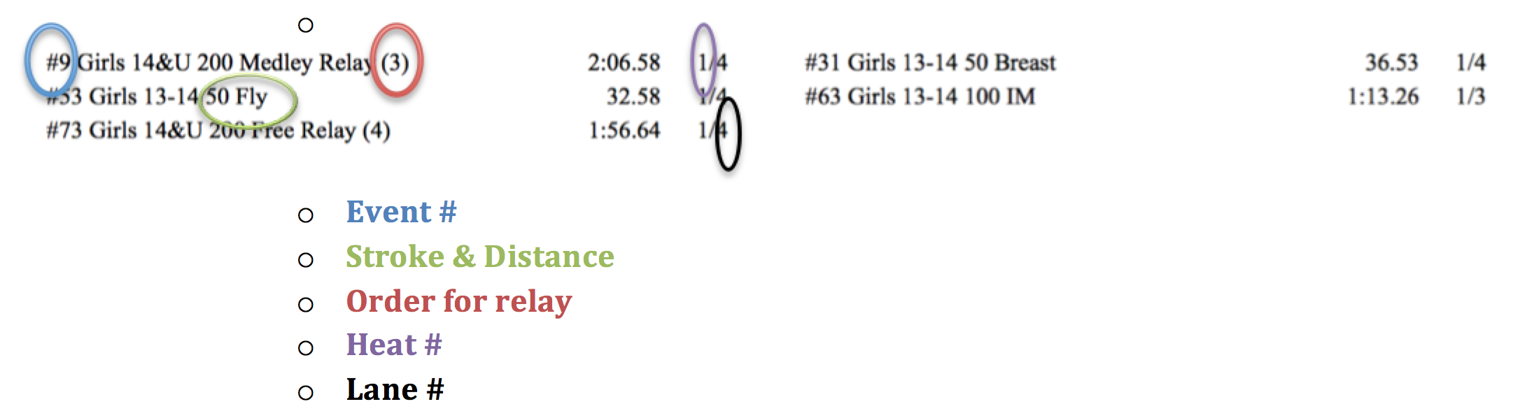 Swim Meet 101 - Knob Hill Barracudas
