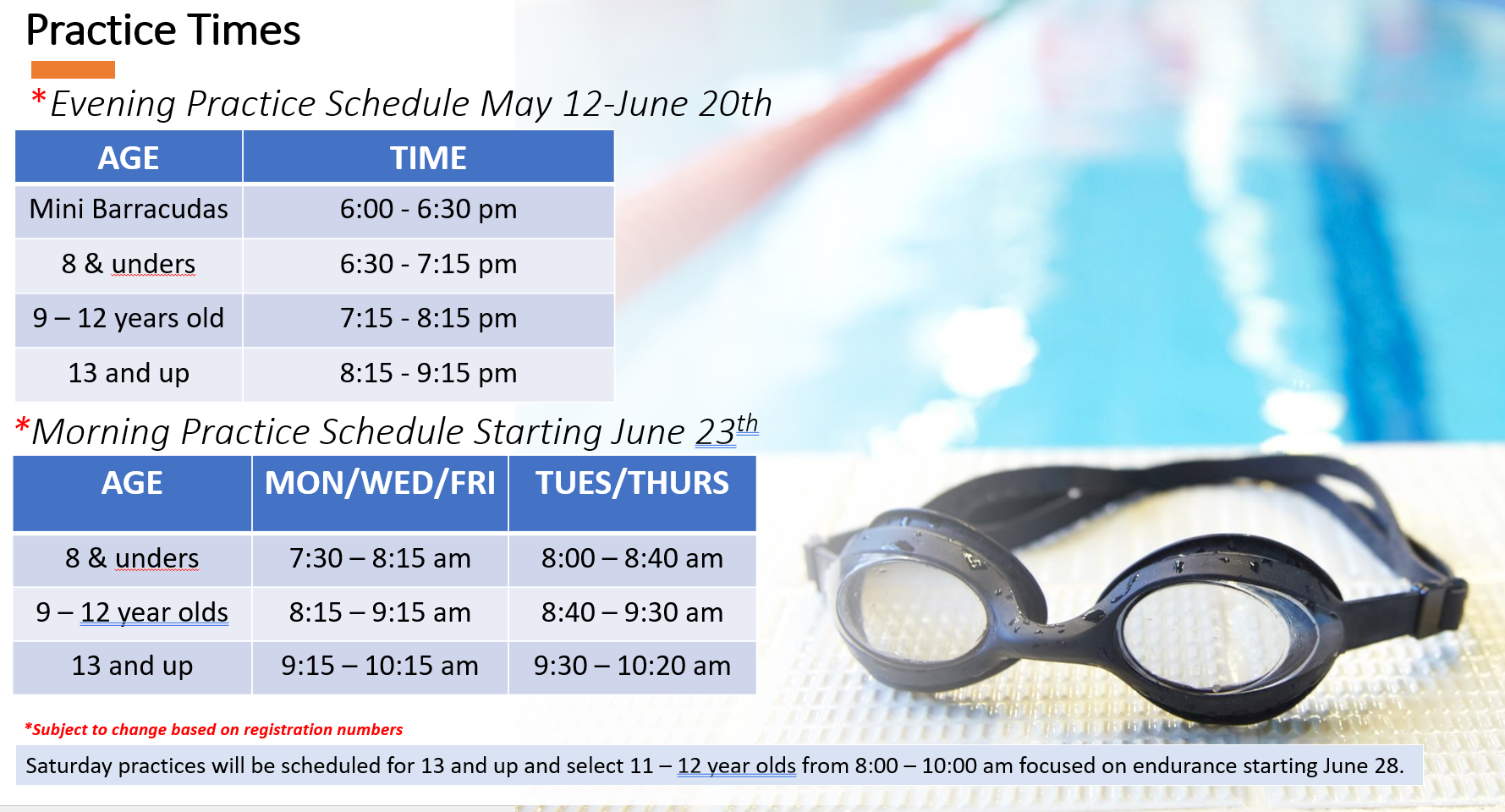 Home - Blue Ridge Barracudas