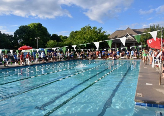 Home - Whittington Creek Swim Team - Crocodiles