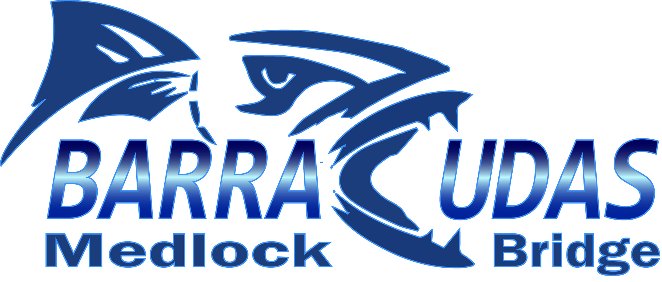 News - Medlock Bridge Barracudas Swim Team