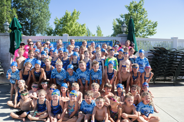 News - Bridgewater Barracudas