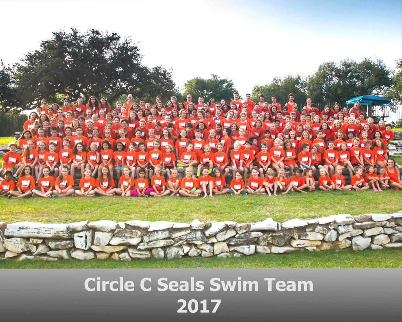 Home - Circle C Seals Swim Team