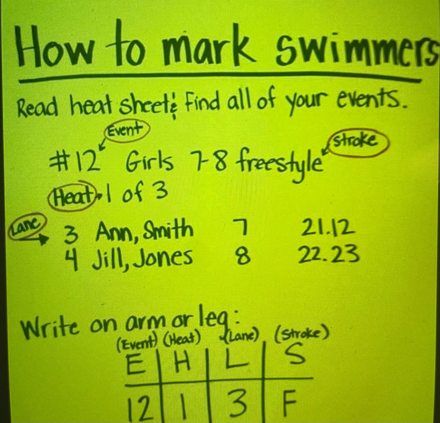 Marking Swimmers Stone Mountain Stingrays