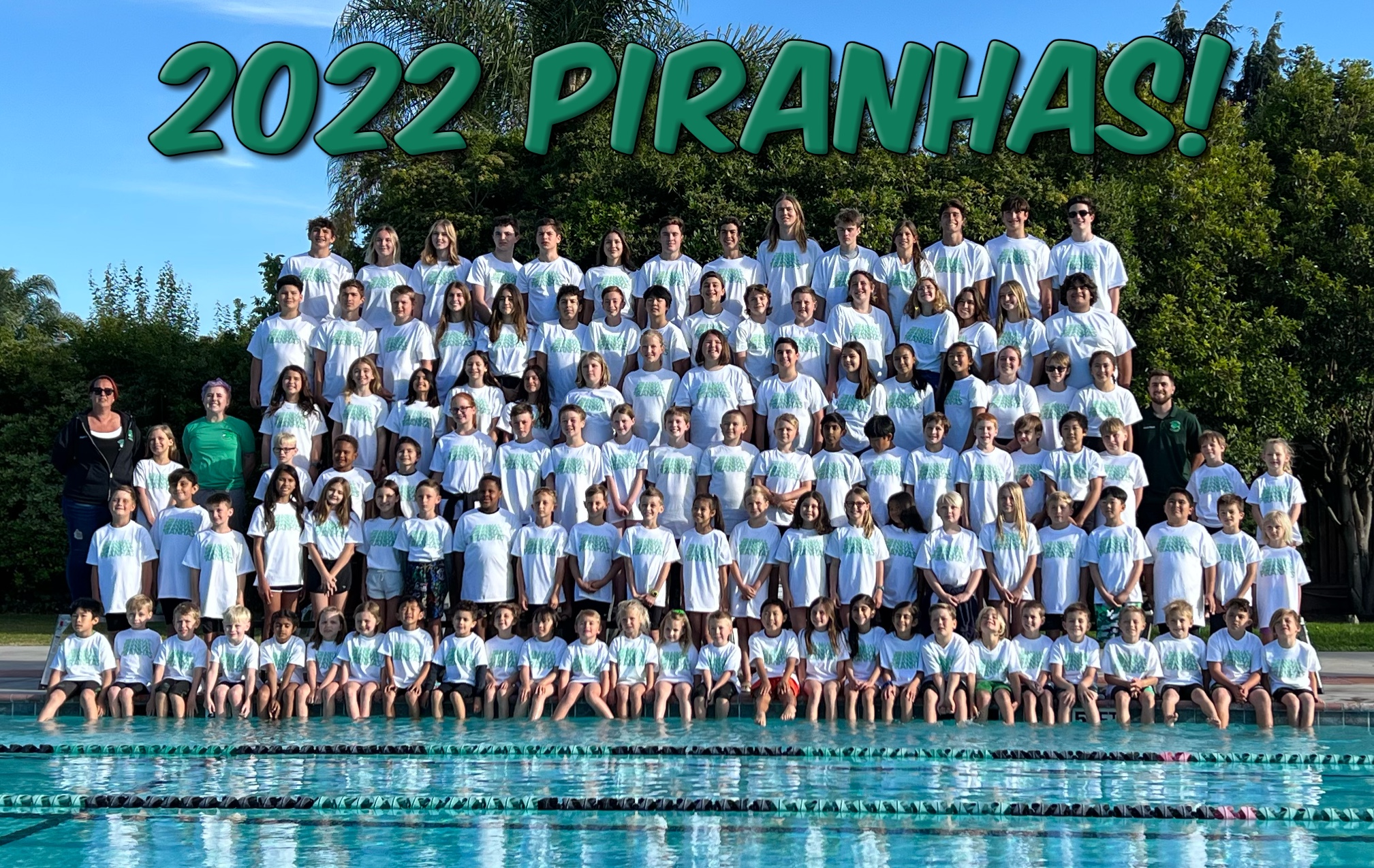 Home - Pinehurst Piranhas
