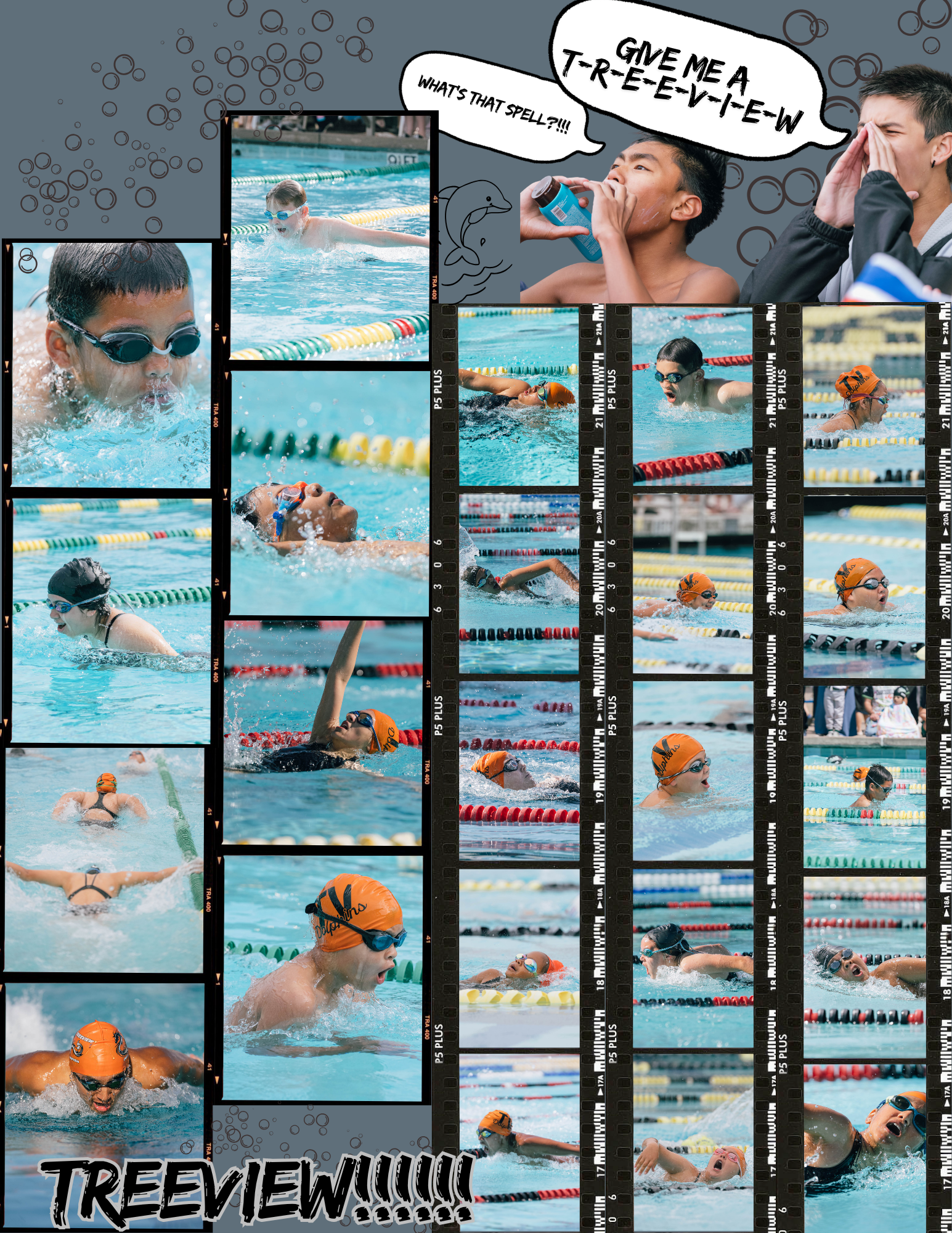Meet our Dolphins - Treeview Dolphins Swim Team