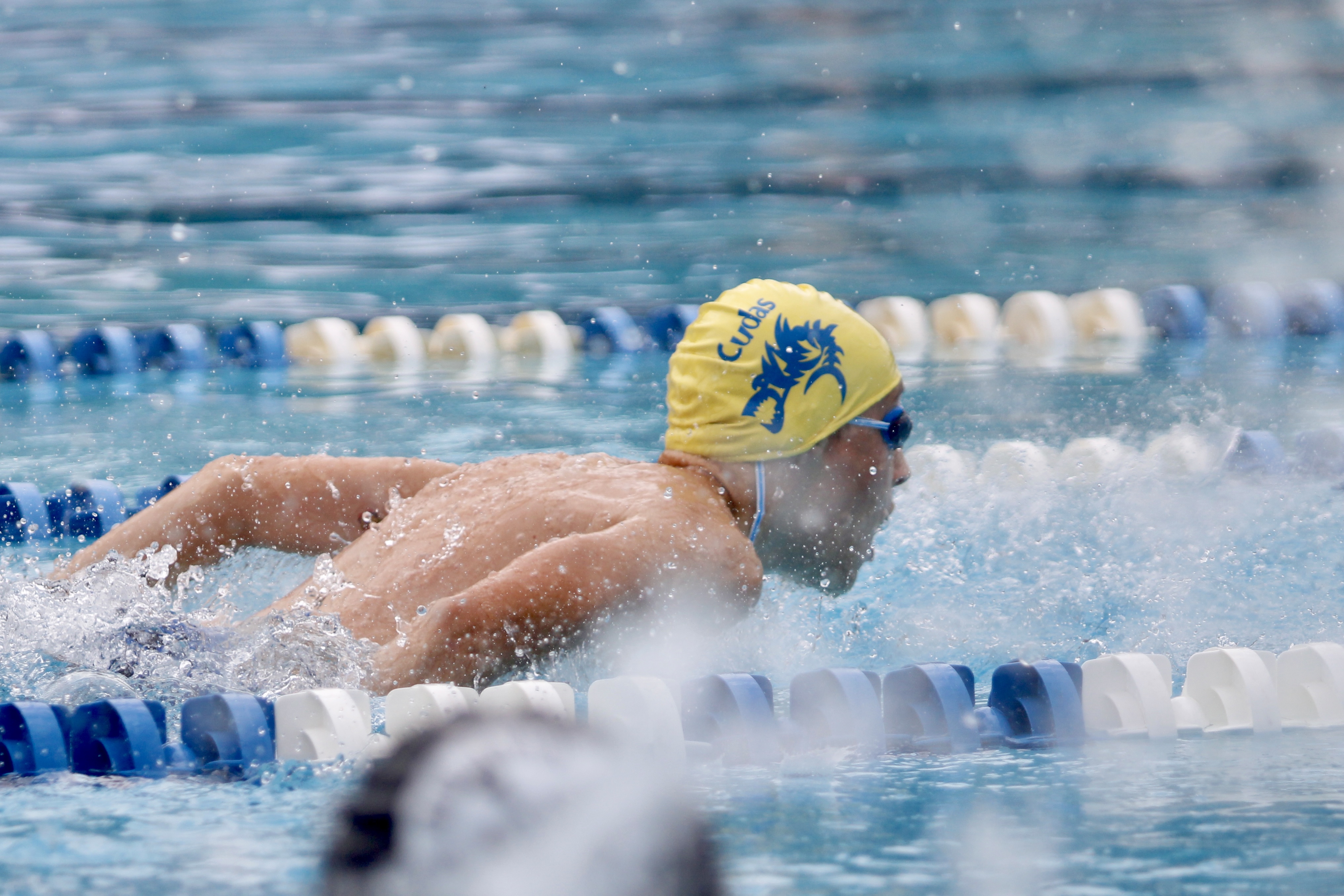 Home - Barracuda Swim Team