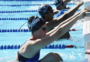 Team Suit, Apparel & Swim Cap Orders - Swim Team