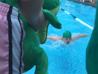 Home - Kingsgate Gators Swim Team