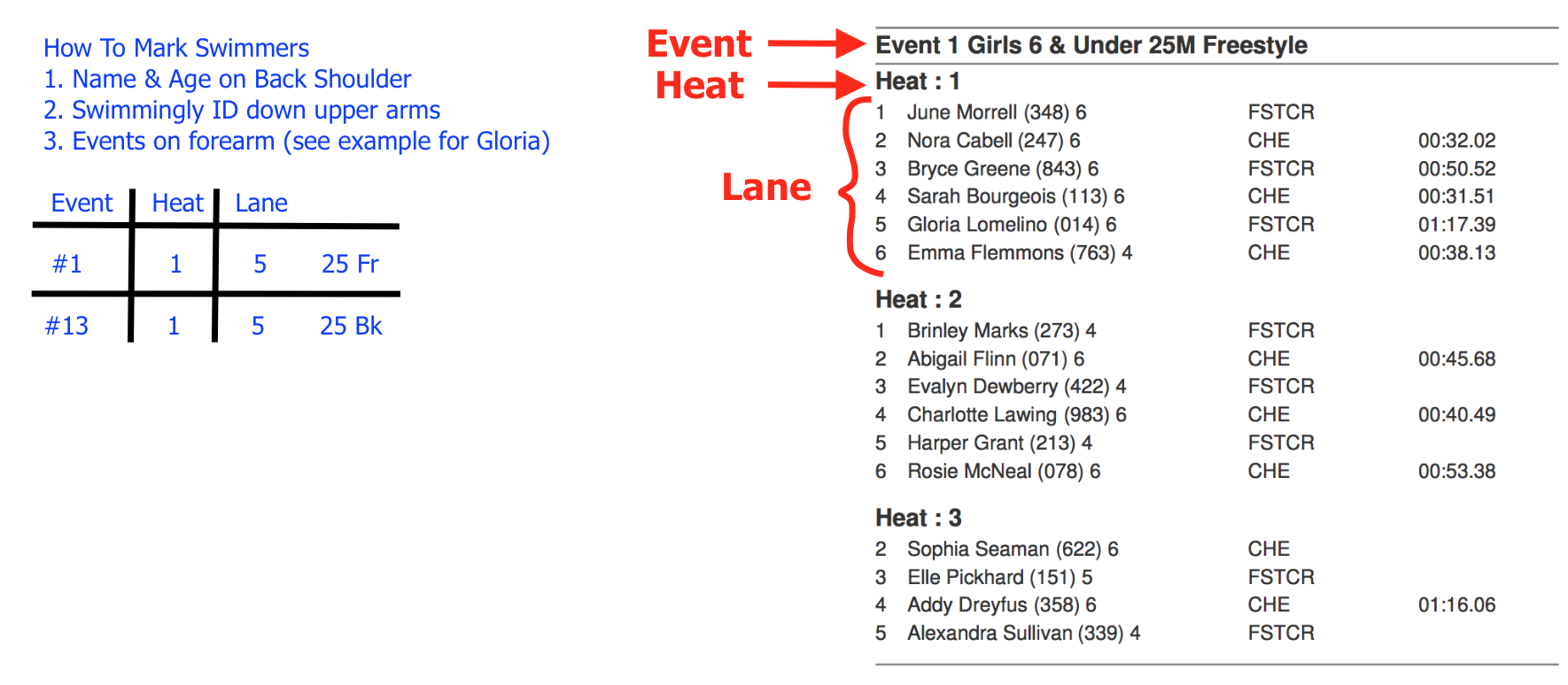 Swim Meet 101 - Williamson County Swim League