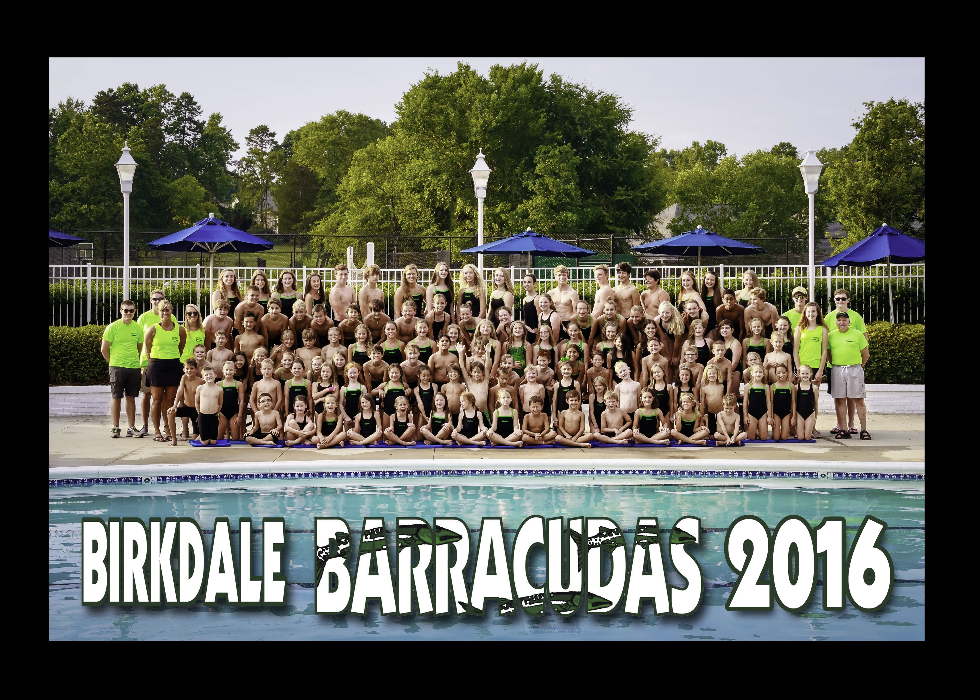 Home - Birkdale Barracudas Swim Team
