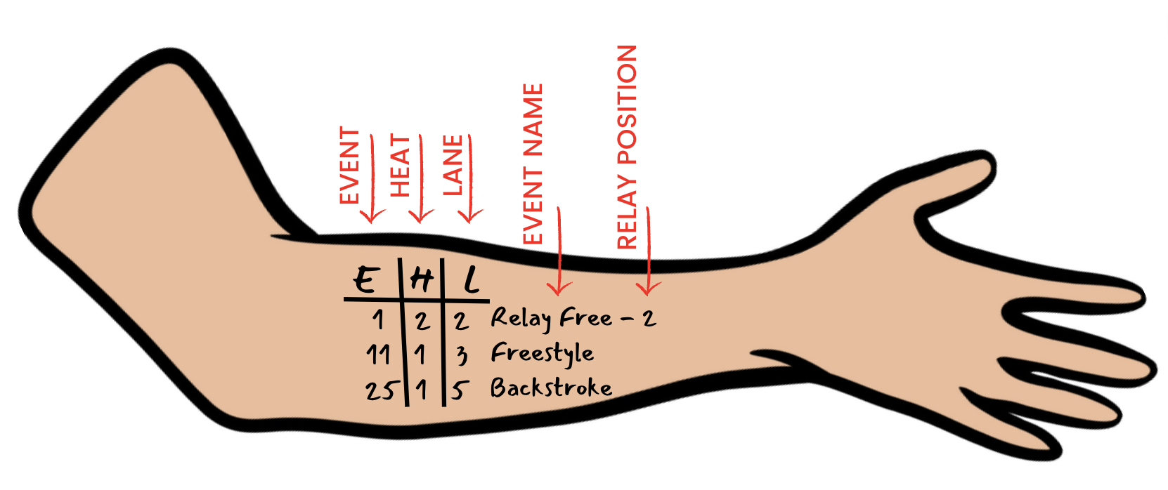 Swim Meet 101 - Foxcroft FAST Fins