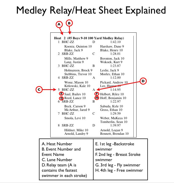 Swim Meet 101 - Ladd Park Sharks