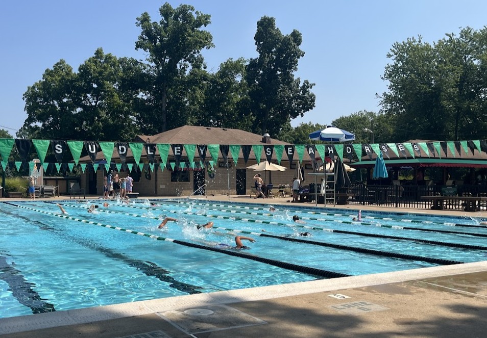 Home - Sudley Seahorses